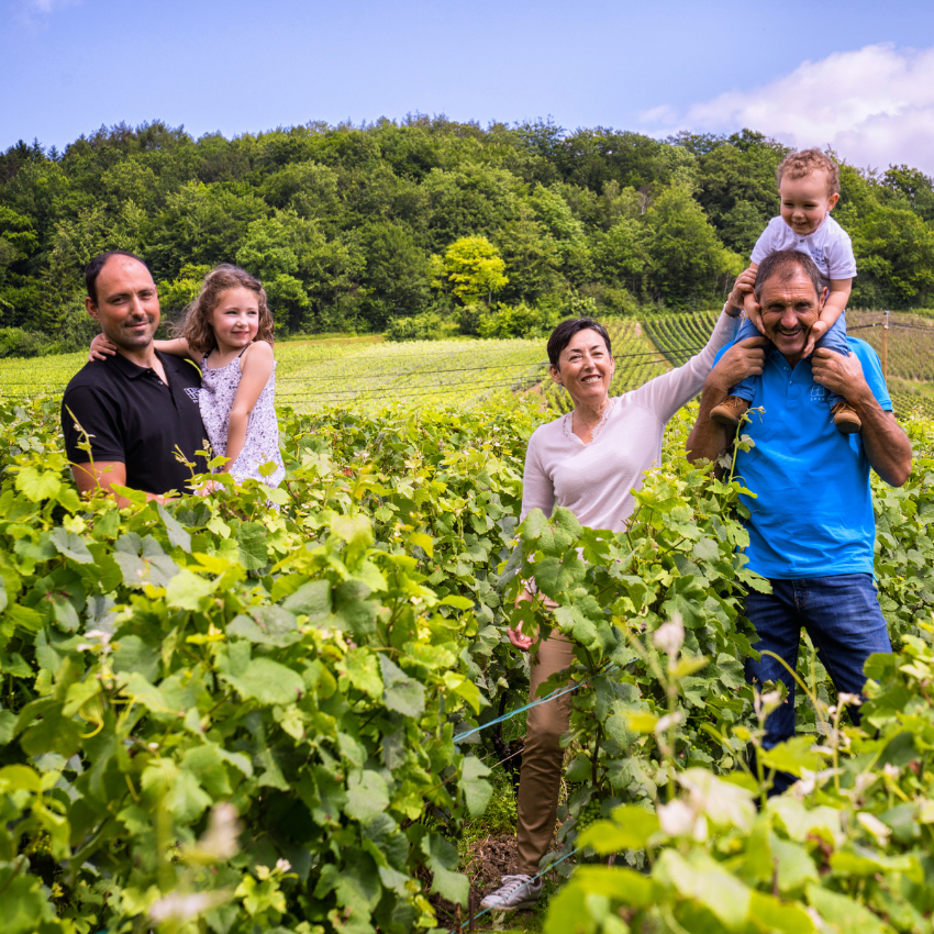 Champagne Farm Tour | France Farm Experiences & Tours