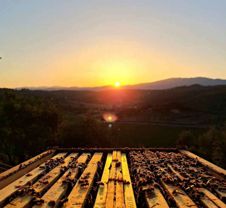 Best Farm Tours in Florence | Farm Experiences & Tours