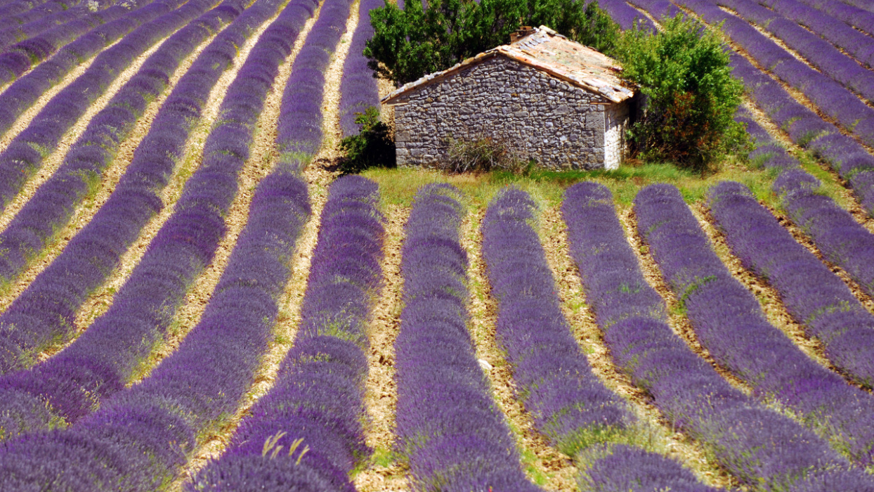Why we should visit farms in France?