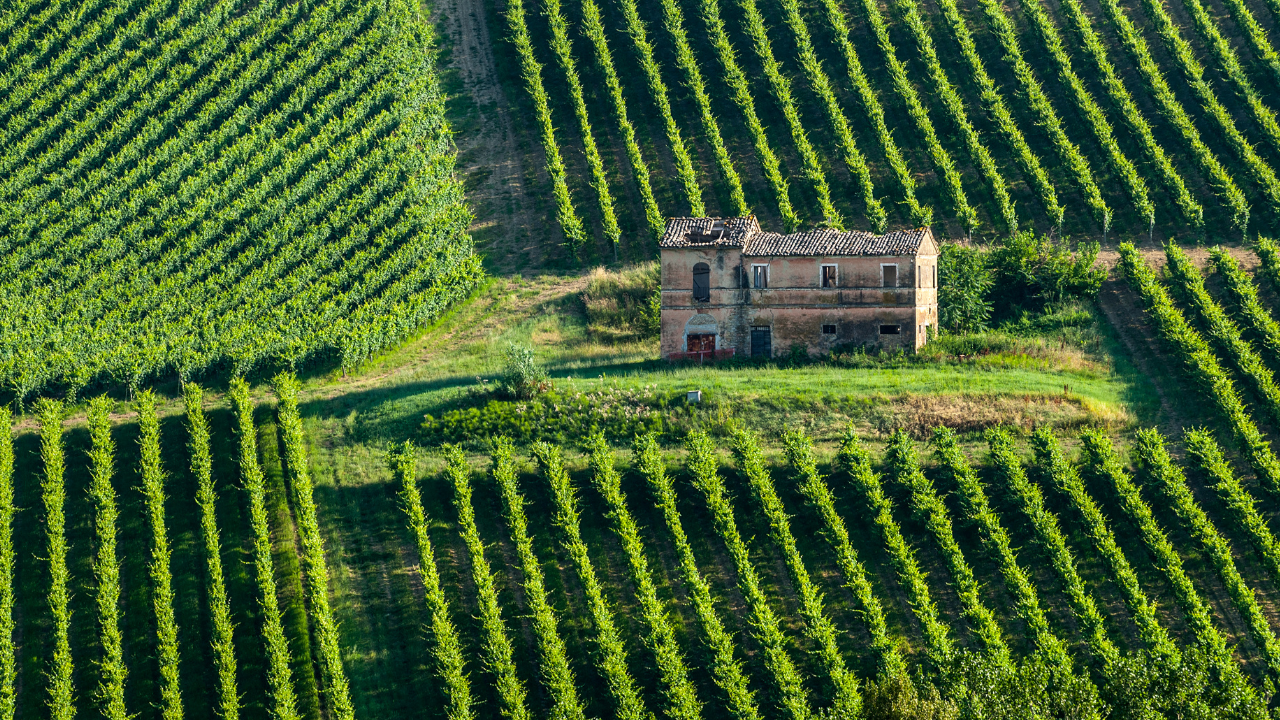 Farming in Italy