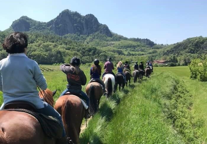Euganean Hills Horseback Riding | Italy Farm Experiences & Tours