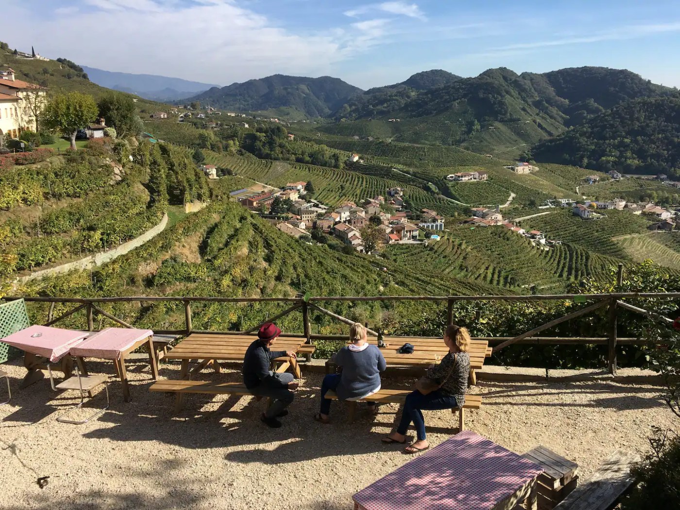 Best Farm Tours in Venice | Farm Experiences & Tours