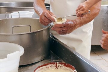 Mozzarella Farm Tour | Italy Farm Experiences & Tours