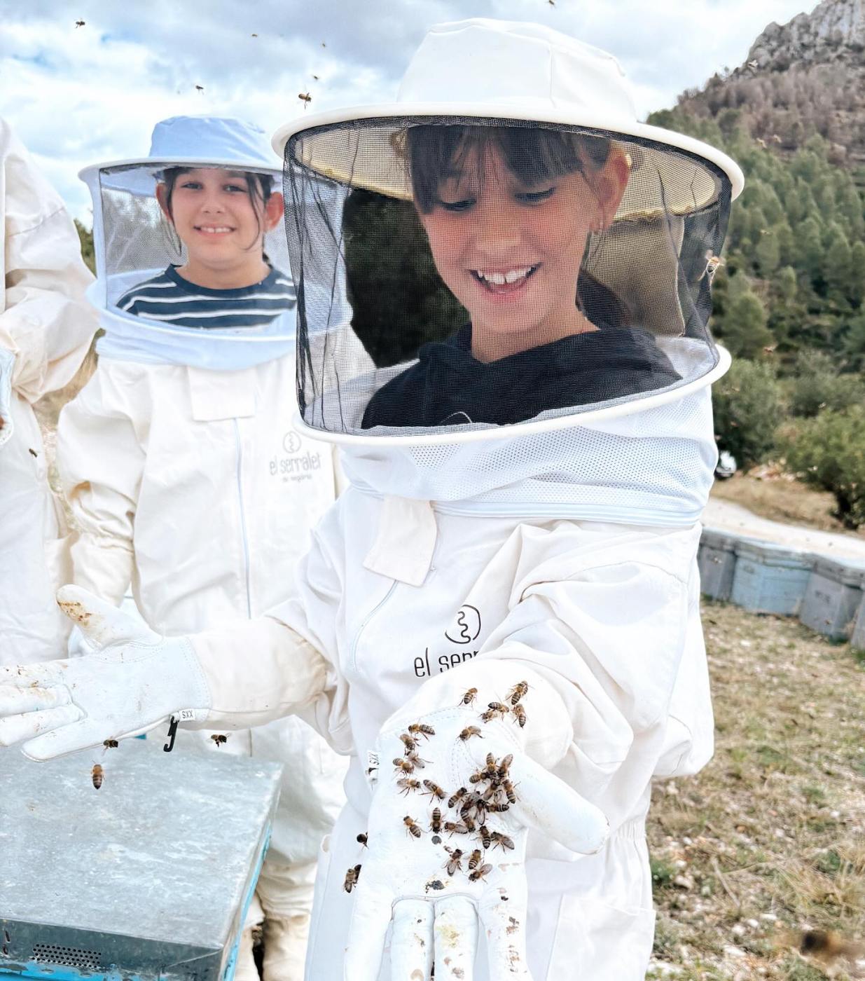 Valencia Beekeeping Tour | Spain Farm Experiences & Tours