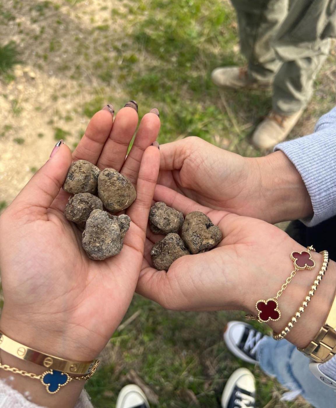 The Secrets of Truffles in Italy I Farm Experiences & Tours