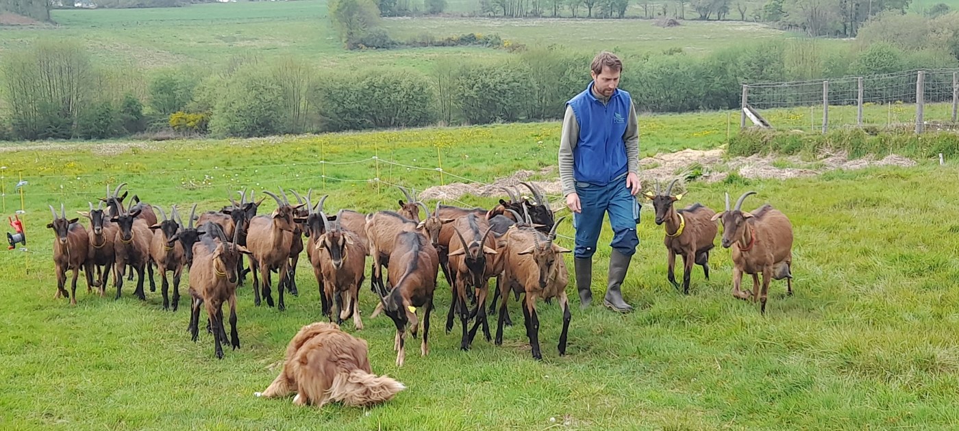 Goat Farm Tour | France Farm Experiences & Tours