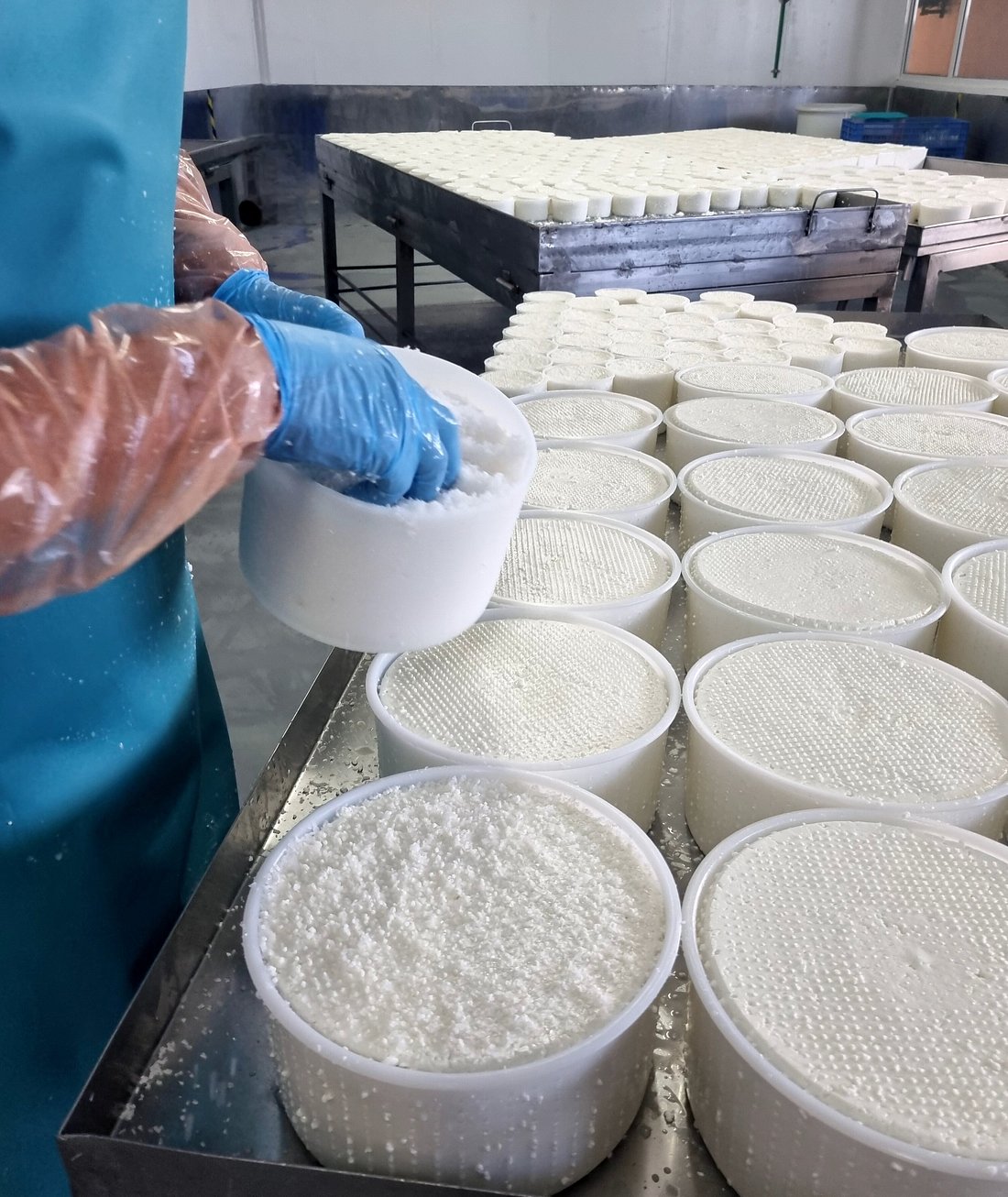 Cheese Farm Tours in Spain | Farm Experiences & Tours