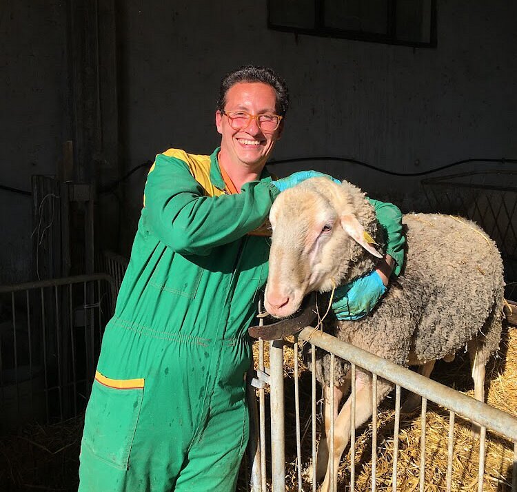 Siena Pecorino & Sheep Farm Tour | Italy Farm Experiences & Tours
