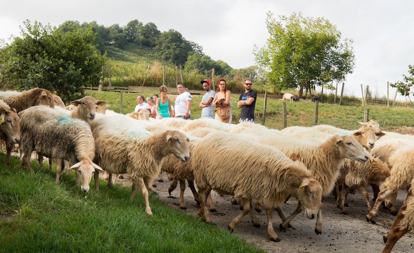 Basque Animal Farm Tour| France Farm Experiences & Tours