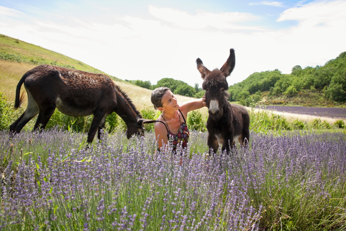 Donkeys & Eco-Farm Tour | France Farm Experiences