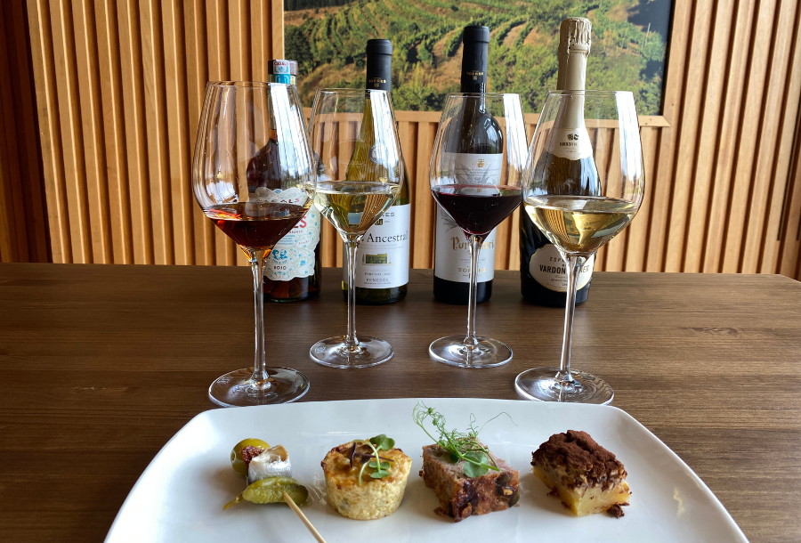 Barcelona Wine & Tapas Pairing | Spain Farm Experiences