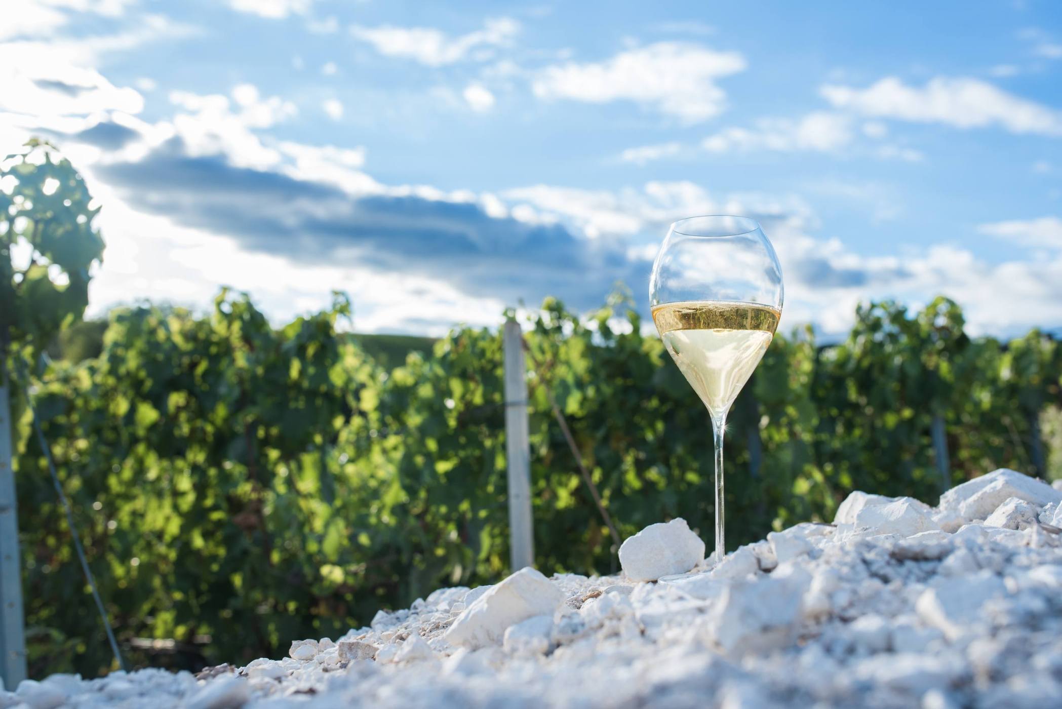 Champagne Tours in France | Farm Experiences & Tours