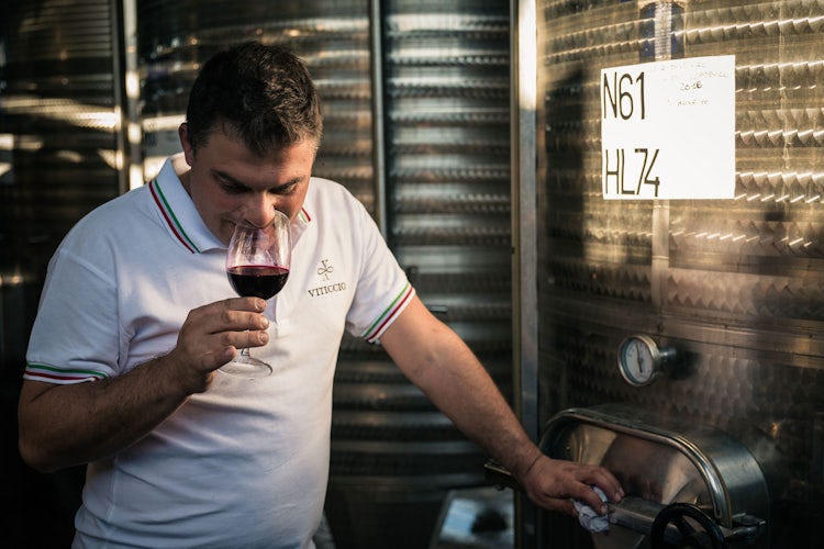Chianti Wine Blending Tour I Italy Farm Experiences