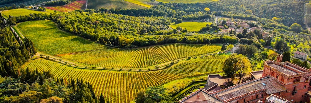 Chianti Wine Sunset Tour | Italy Farm Experiences