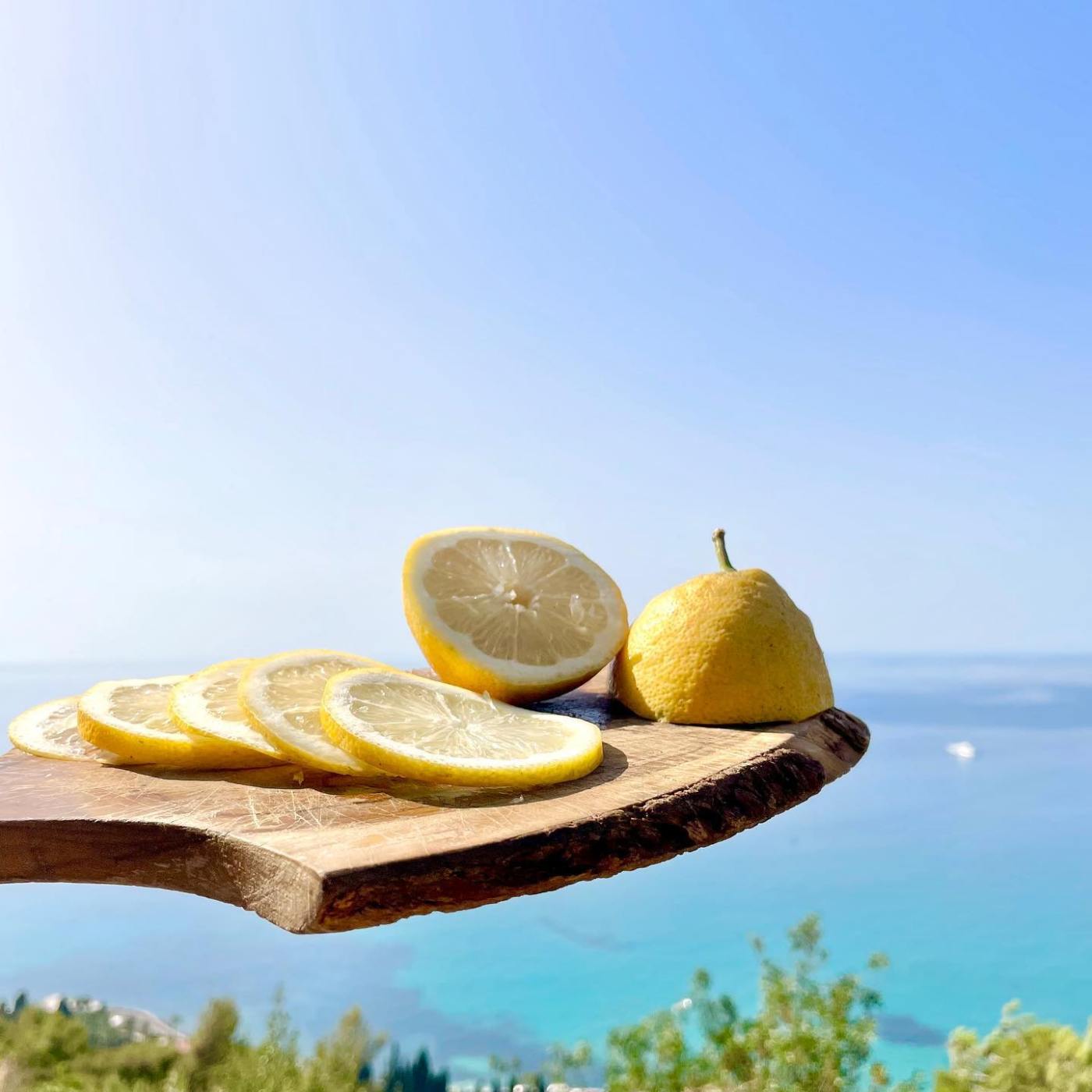 Provence Self-Guided Citrus Estate Tour Experience| France Experience