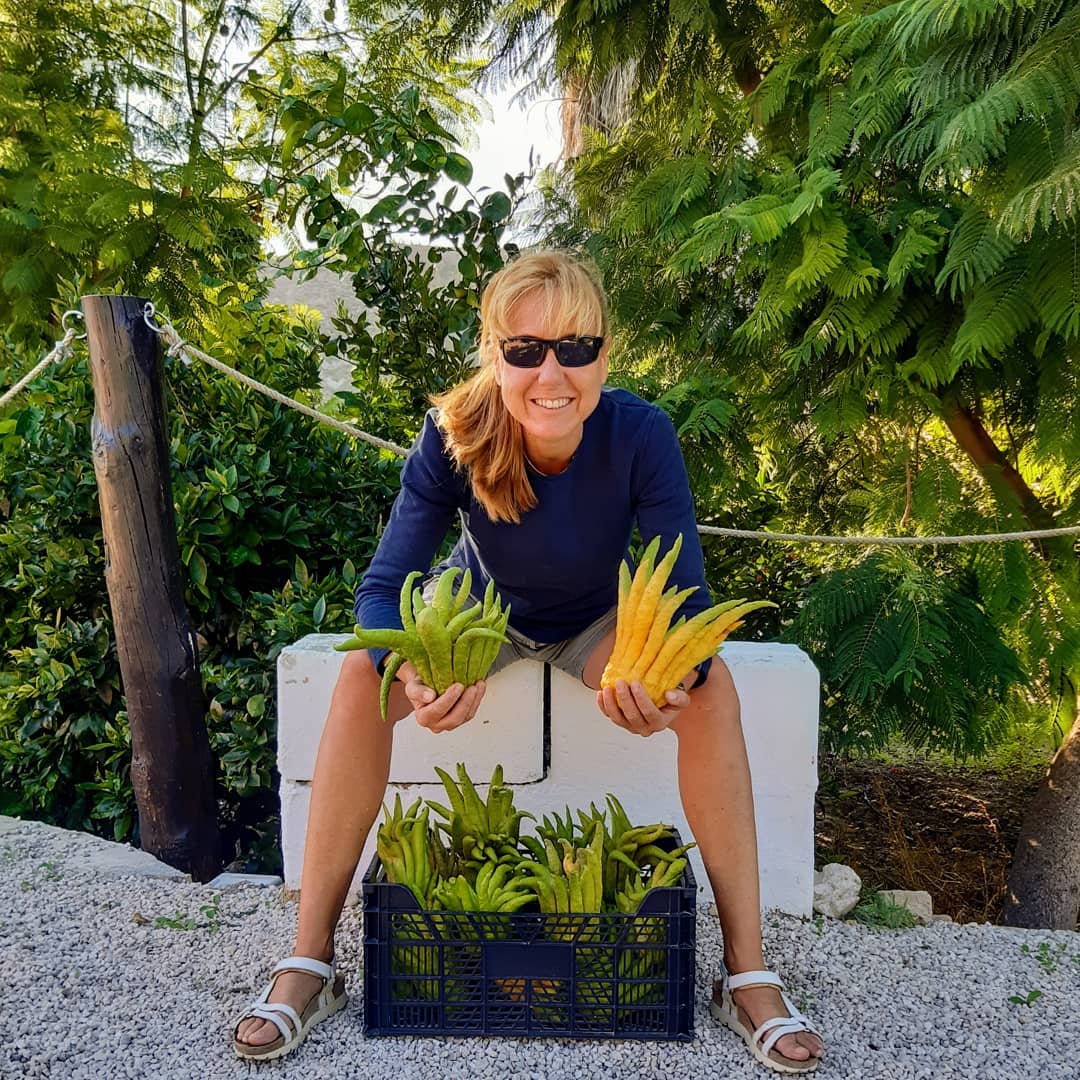 Múrcia Citrus Tour Experience | Spain Experience