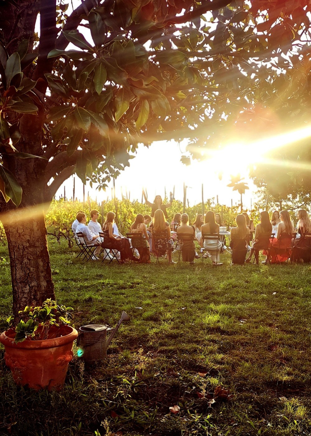 Rome Wine Tasting & Farmhouse Lunch | Italy Farm Experience