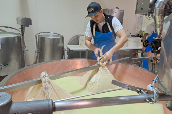 Parma Guided Dairy Tour & Tasting Experience | Italy Farm Experiences