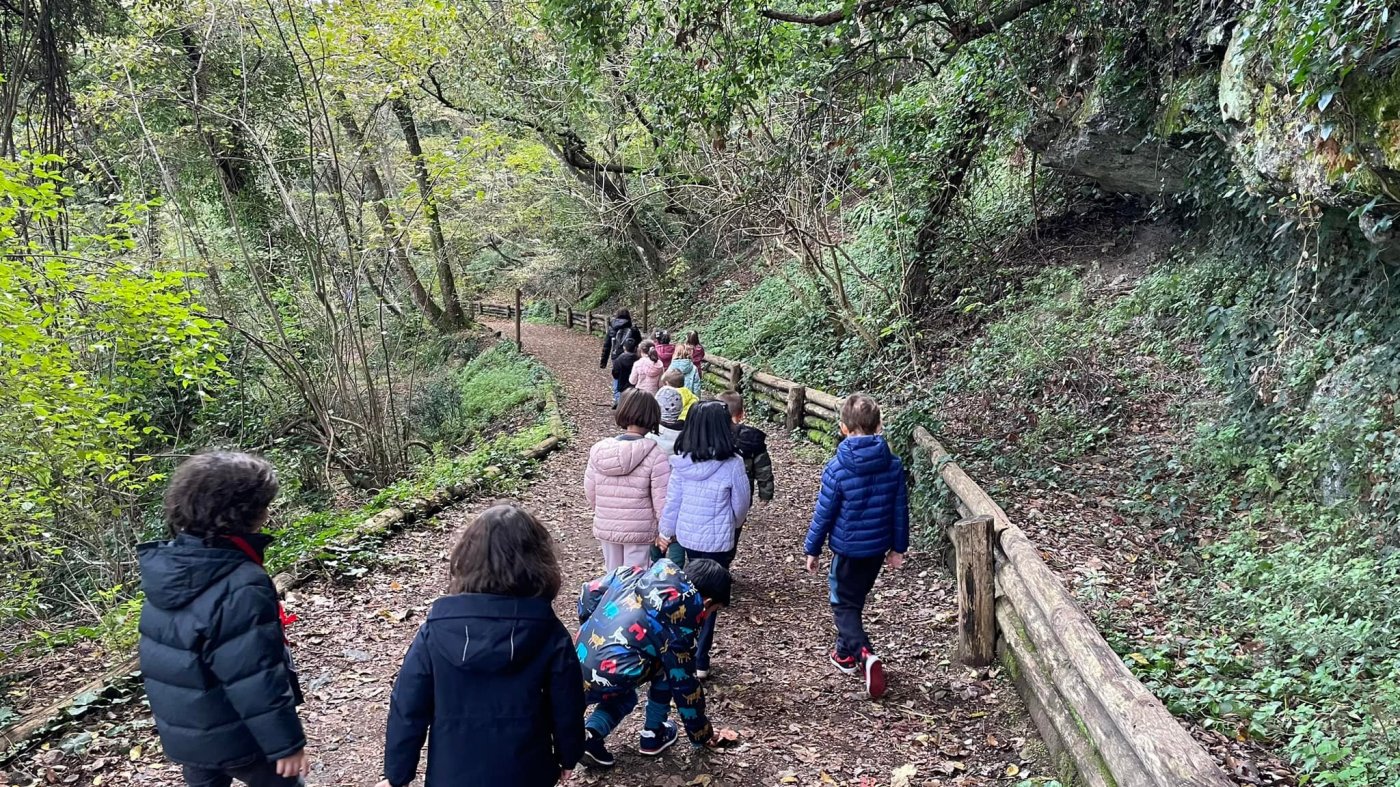 Lazio Visit a Forest Experience | Italy Tour