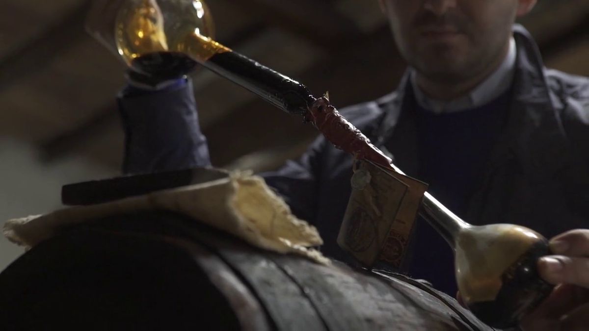 Modena Balsamic Vinegar Gourmet Experience | Italy Tour
