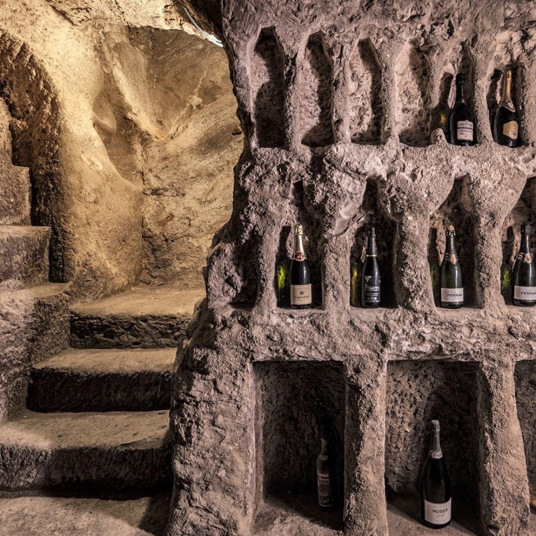 Cella Monte Wine Tasting Tour | Italy Farm Experiences & Tours