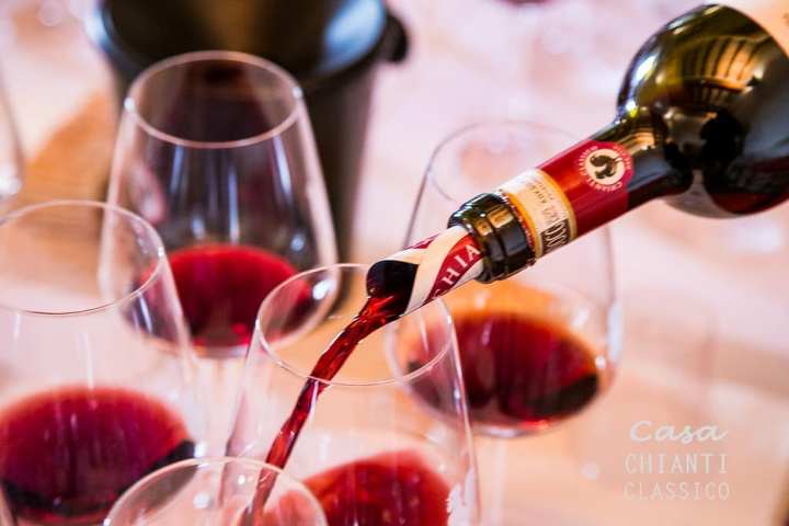 Chianti Wine & Olive Oil Tour | Italy Farm Experiences